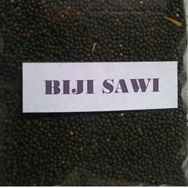 Jual Biji Sawi 500 gram | Shopee Indonesia