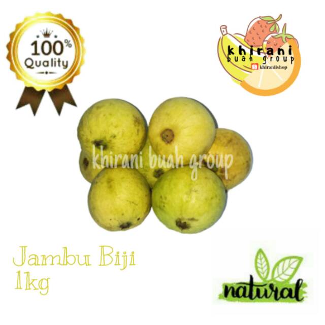 Jual JAMBU BIJI/ JAMBU BIJI MERAH/BUAHSEGAR/JAMBU BIJI MERAH | Shopee ...