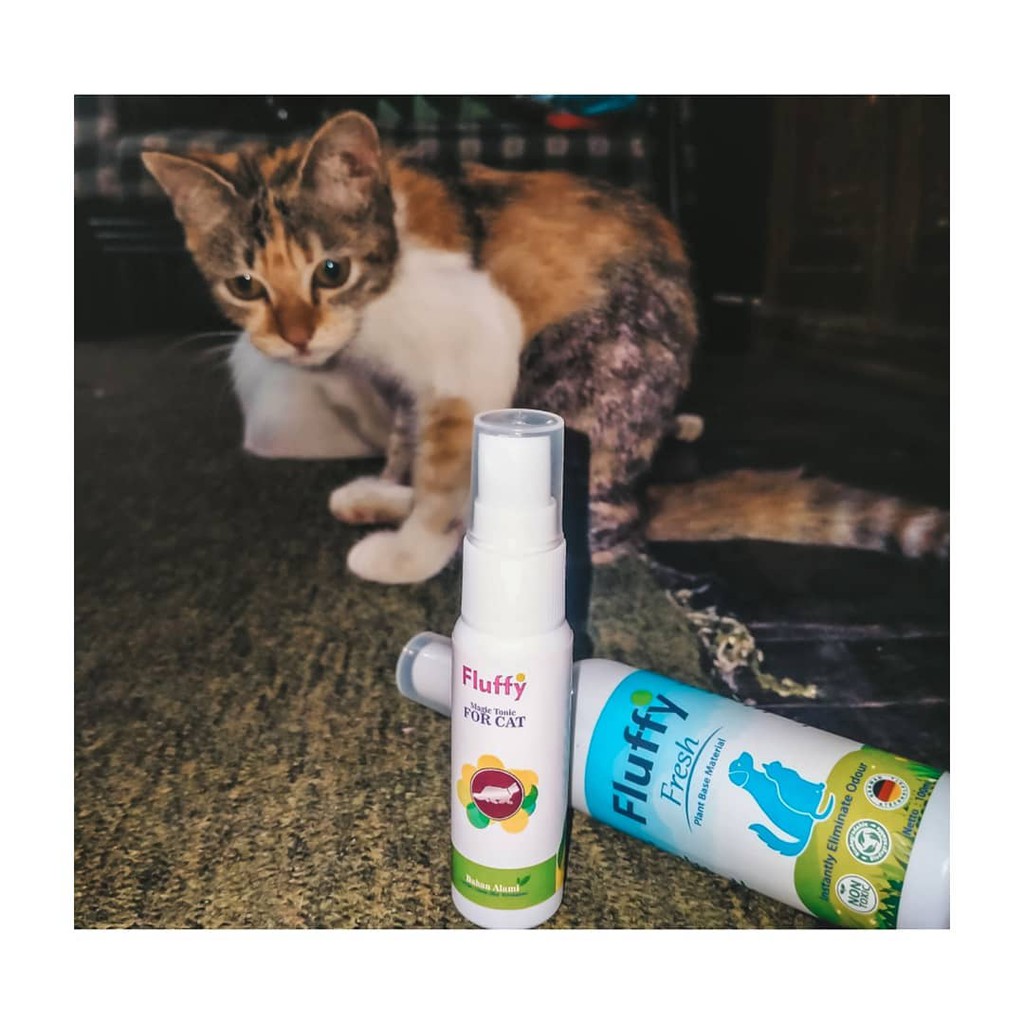 Jual CARA MENGOBATI KUCING JAMURAN AMPUH DENGAN FLUFFY TONIC 60ml ...