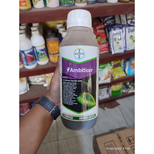 Jual AMBITION 1LITER | Shopee Indonesia