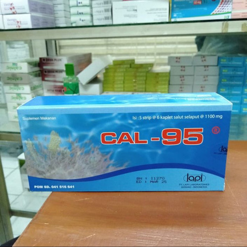 Jual CAL 95 cal 95 cal95 per box cal 95 per box Kal 95 Per Box | Shopee ...