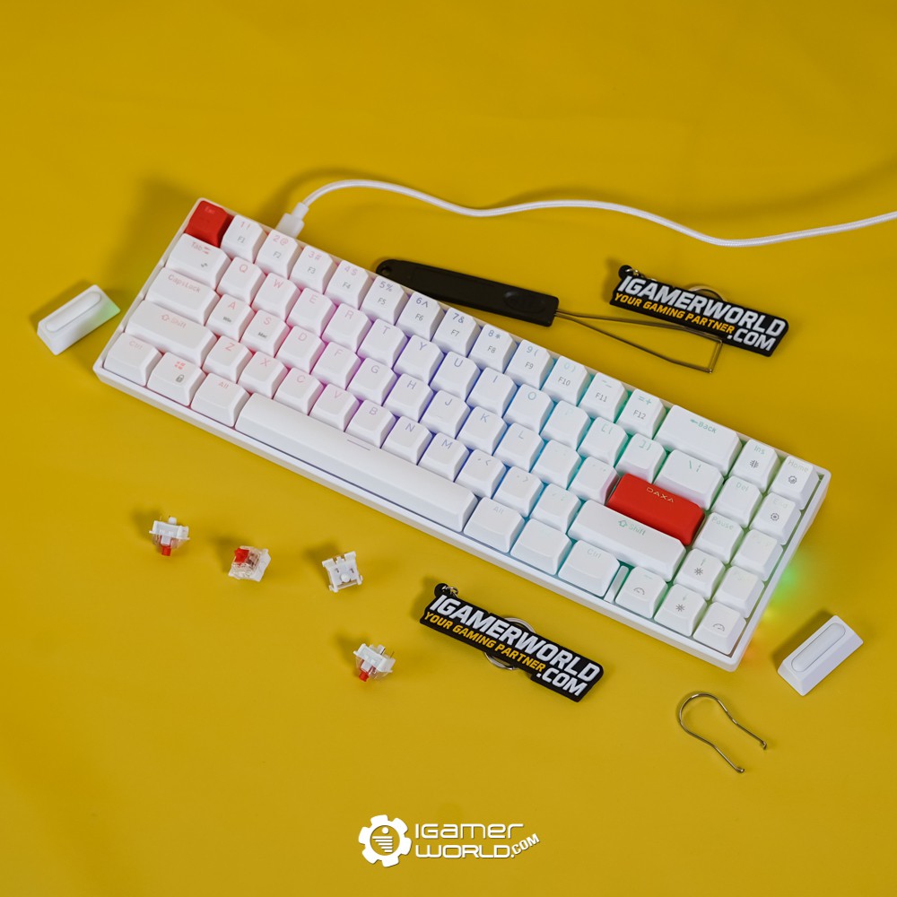Jual Rexus Daxa M71 Classic White Mechanical Gaming Keyboard | Shopee ...
