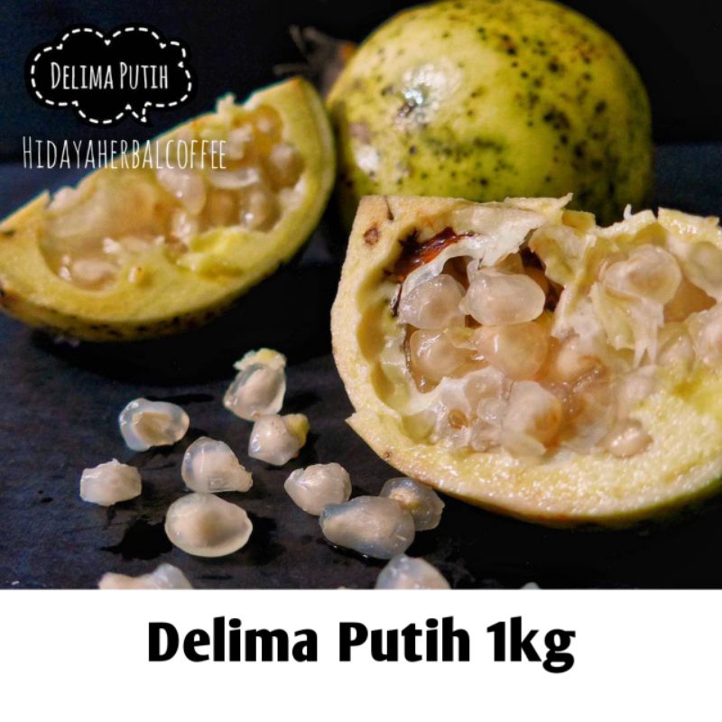 Jual Buah Delima Putih Segar 1kg | Shopee Indonesia
