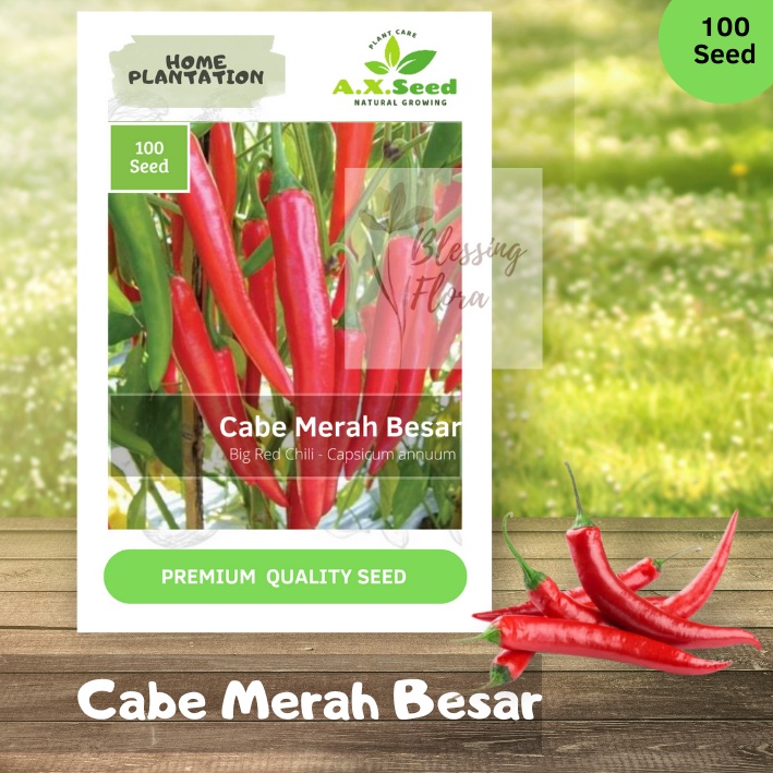 Jual Benih Bibit Cabe Merah Besar AX Seed | Shopee Indonesia