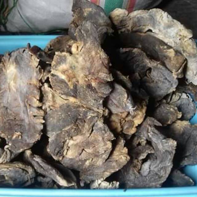 Jual Daging Rusa Kering 1 kg | Shopee Indonesia