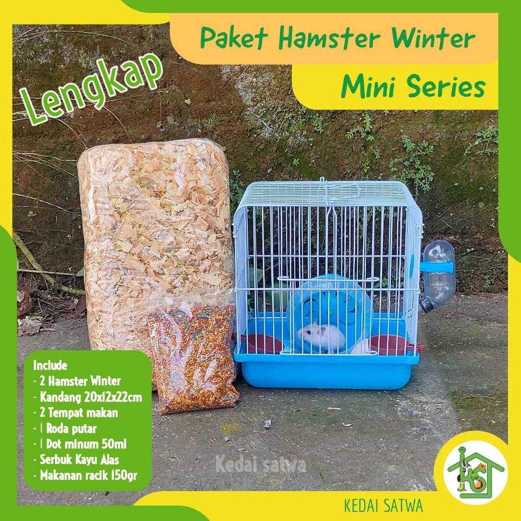 Jual Paket Lengkap Hamster Winter Include Kandang Hamster Serbuk Alas ...
