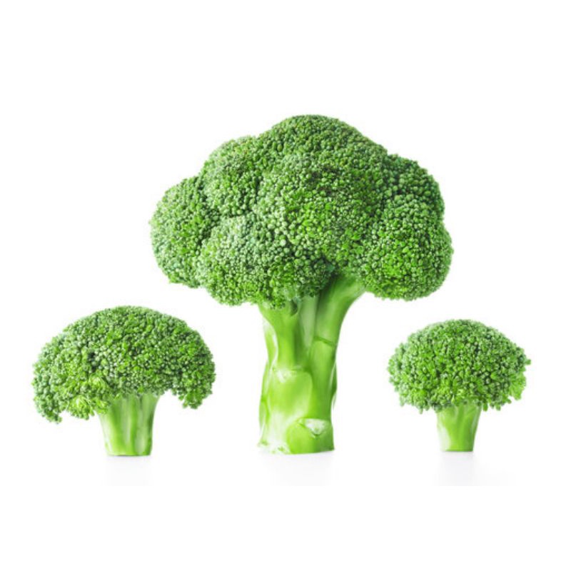 Jual Brokoli Hijau 1 kg | Shopee Indonesia
