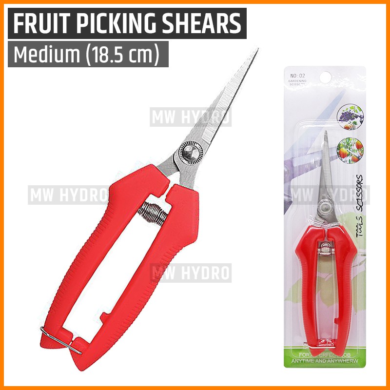Jual Gunting Penjarangan Tanaman / Pemetik Buah, 2033, Sedang ...