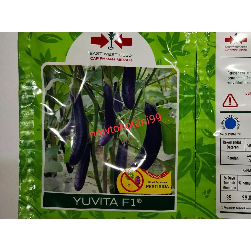 Jual Benih terong YUVITA F1 1100 butir terung ungu yuvita 1100butir dari panah merah | Shopee ...