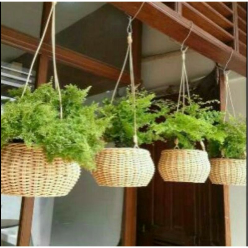 Jual pot gantung bahan rotan premium ready stok | Shopee Indonesia
