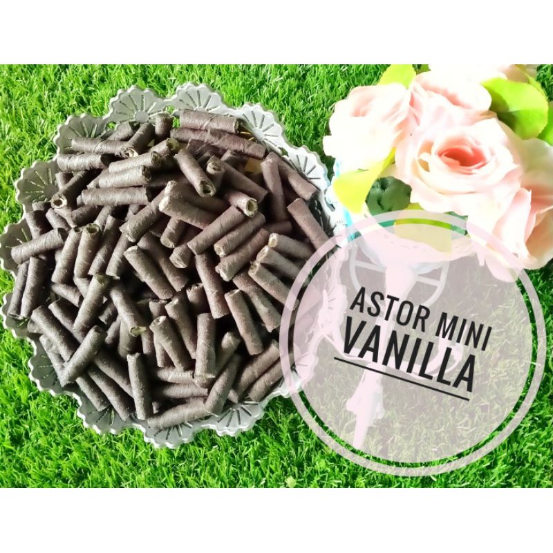 Jual ASTOR MINI / ASTOR PENDEK / SNACK KILOAN / CAMILAN MURAH | Shopee ...