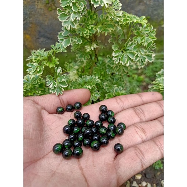 Jual Butiran tasbih tali arus , yuser atau akar Bahar ( COD ) | Shopee ...