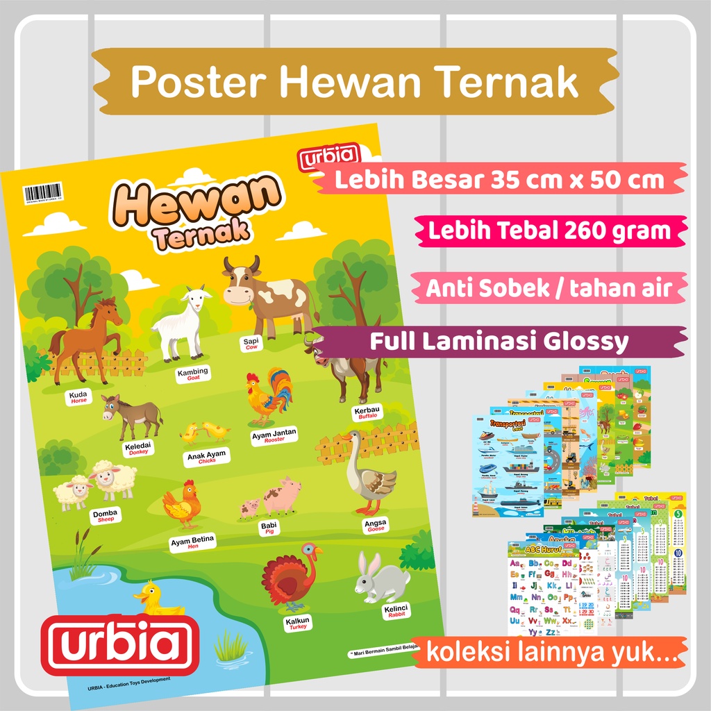 Jual [POSTER HEWAN] - URBIA Poster Edukasi Anak PAUD TK SD | Shopee ...