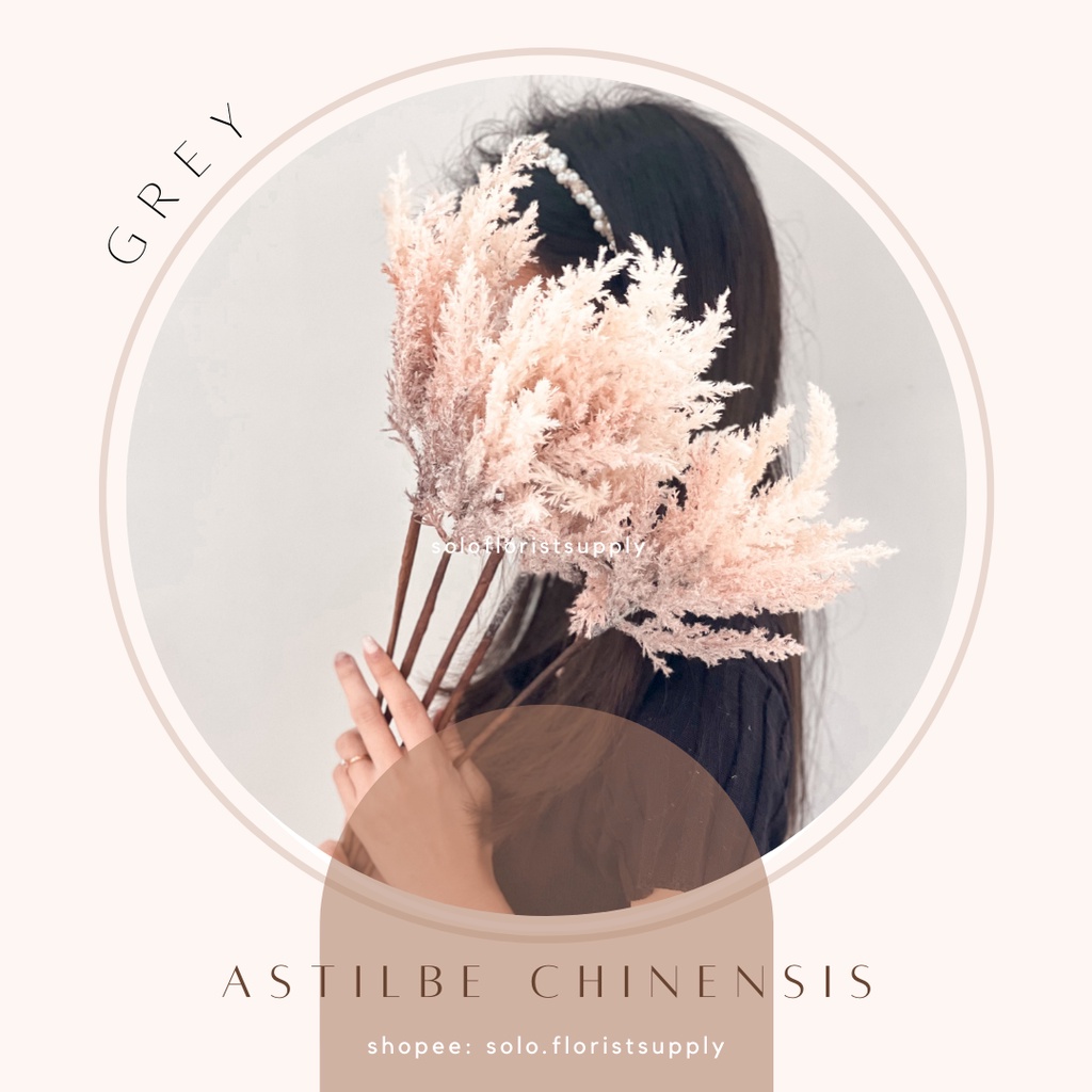 Jual ASTILBE CHINENSIS ARTIFICIAL Bunga Astilbe Tangkai Panjang ...