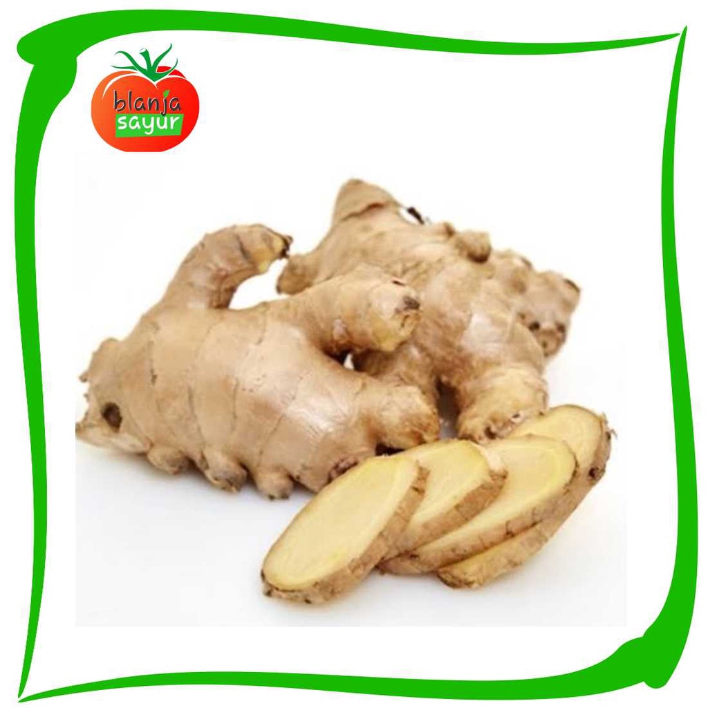 Jual Jahe Putih ,Jahe Gajah segar /sayur online Medan | Shopee Indonesia