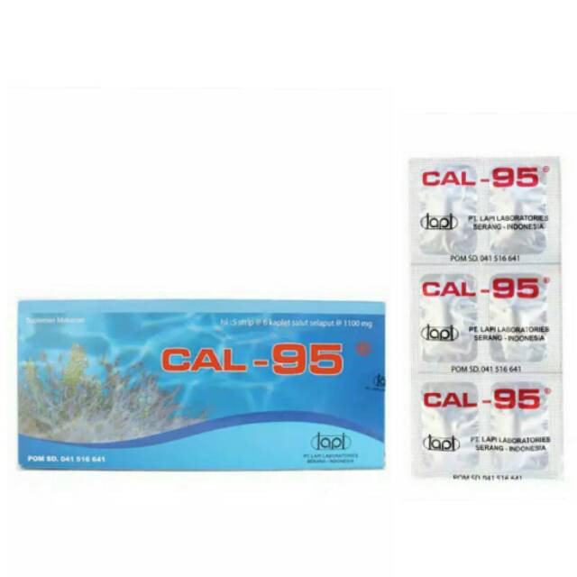 Jual SUPLEMEN KALSIUM CAL - 95 ( MULTIVITAMIN DAN MINERAL ) | Shopee ...