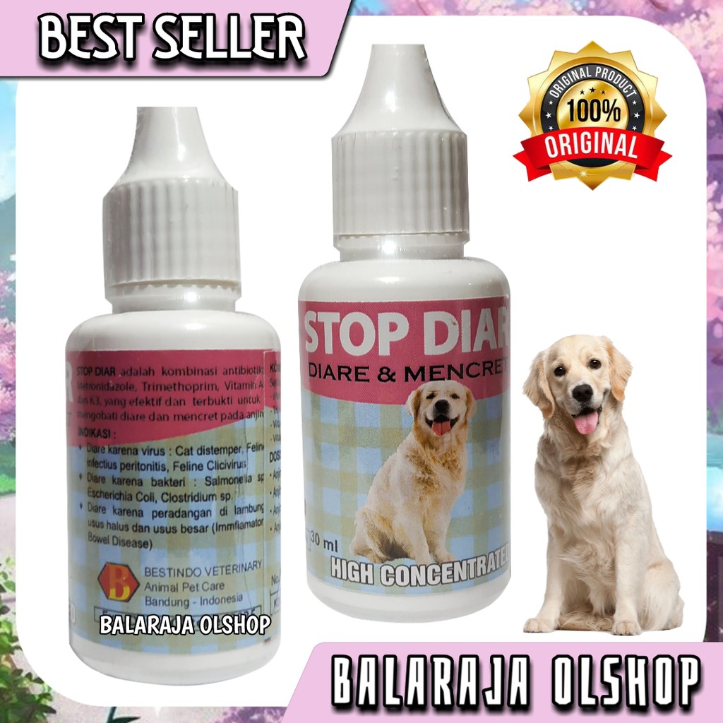 Jual OBAT DIARE ANJING PUPPY SAKIT PENCERNAAN MENCRET - STOP DIAR DOG ...