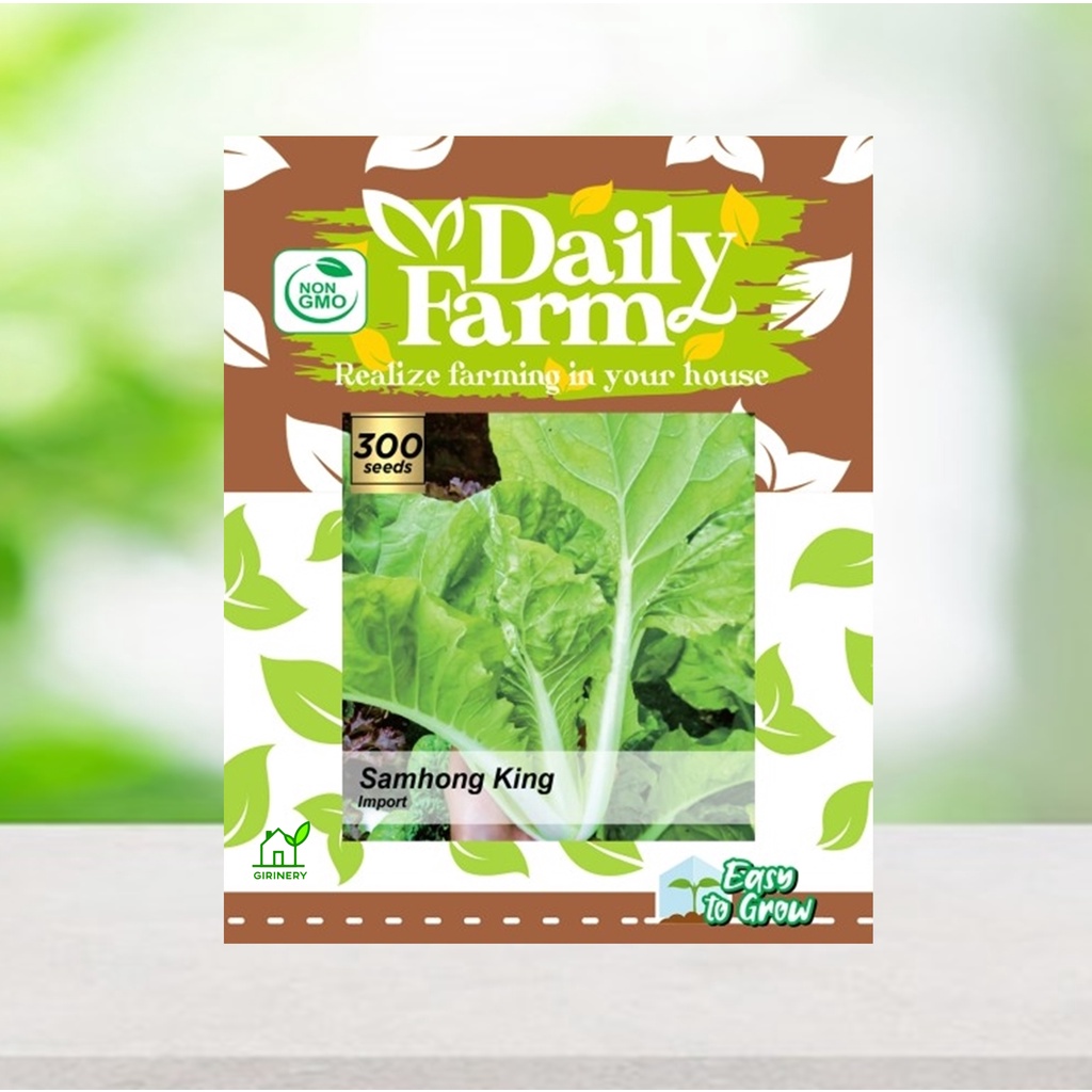 Jual Benih SAWI SAMHONG KING IMPORT - Biji Sayur Sawi Keriting - Daily ...