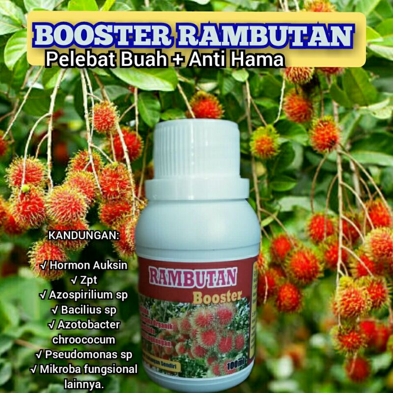 Jual Pupuk Booster Rambutan Organik dan Pelebat Buah | Shopee Indonesia