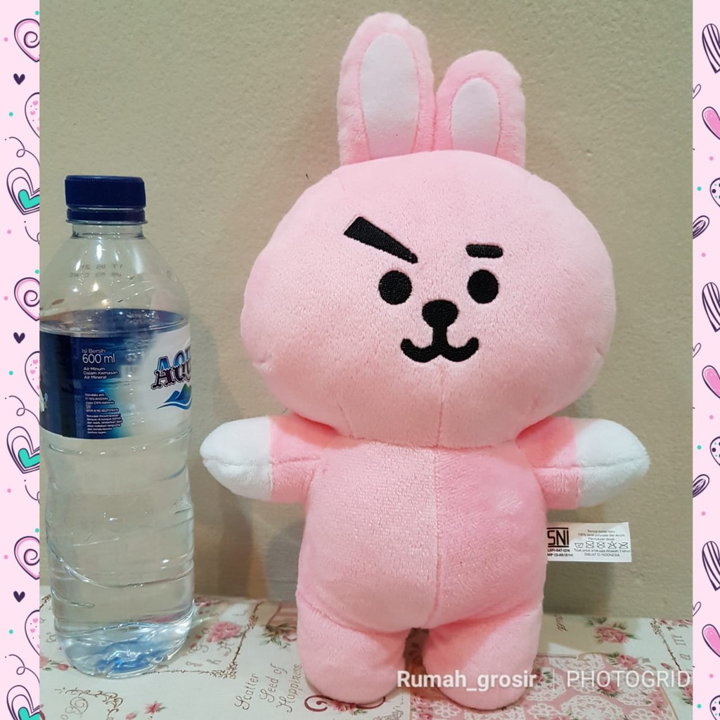 Jual BONEKA Cooky Ukuran Kecil BTS BT21 Unofficial Jungkook | Shopee ...