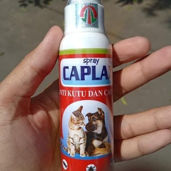 Jual Caplax Spray Obat Anti Caplak Pembasmi Membasmi Kutu Kucing dan ...
