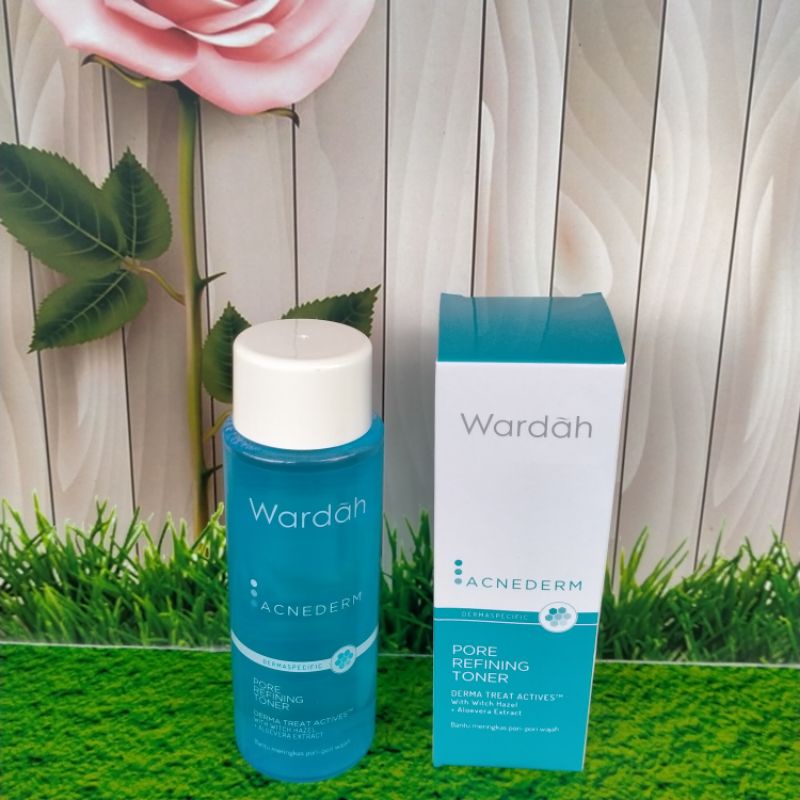 Jual TONER WARDAH ACNEDERM 100ml toner untuk wajah berjerawat | Shopee ...