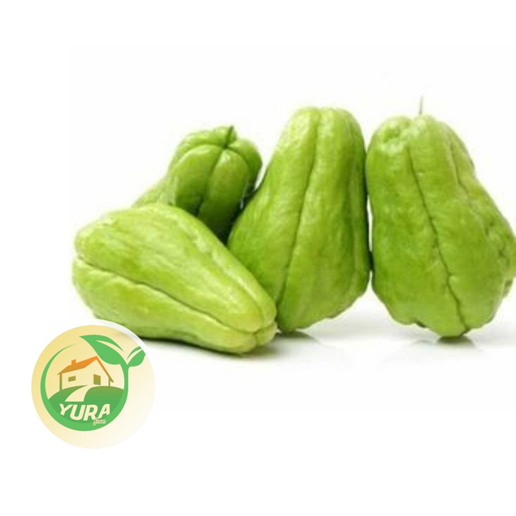 Jual LABU SIAM BESAR Organik 100% Sayur Segar Organic | Shopee Indonesia