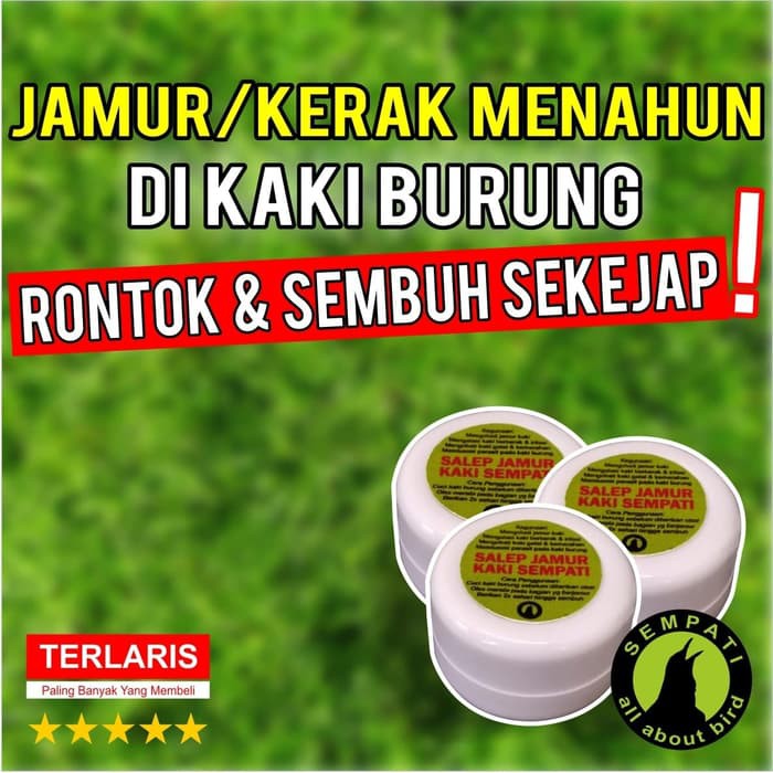 Jual SALEP ANTI JAMUR KAKI SEMPATI OBAT BURUNG SAKIT KAKI JAMURAN ...