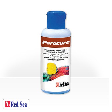 Jual Red Sea Paracure 100ml | Shopee Indonesia
