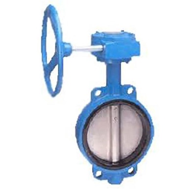 Jual Tozen Butterfly Valve 12" Jis 10K Body Cast Iron Disc Ductile Gear ...