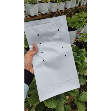 Jual POLIBAG PUTIH DALAM HITAM TEBAL AWET | Shopee Indonesia