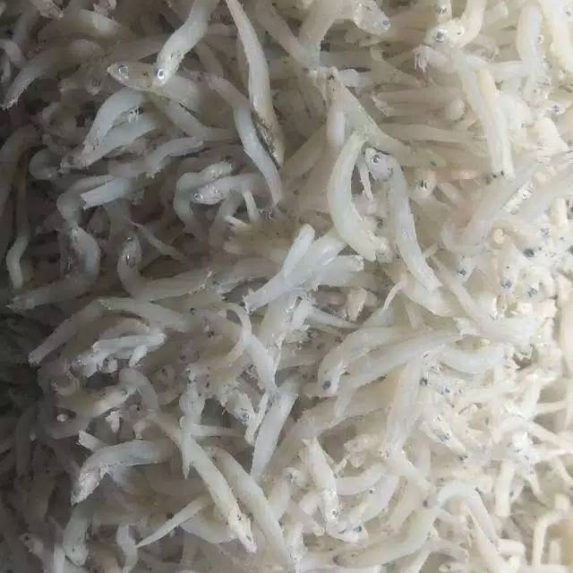 Jual Ikan teri toge super Medan asli 100 %,berat 1kg | Shopee Indonesia