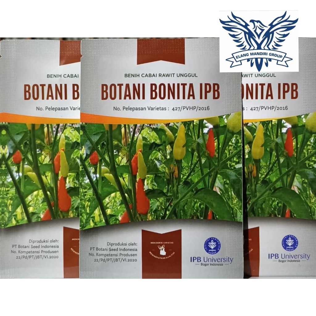 Jual Bonita Bonita IPB 1 gr Benih Cabe Rawit Pedas Botani Seed Genie ...
