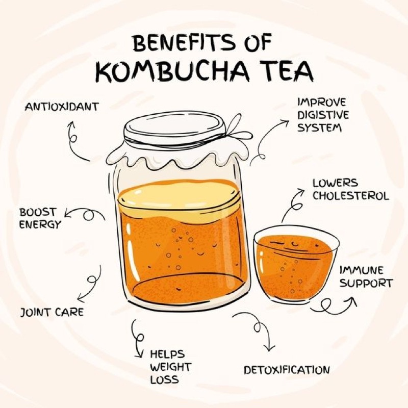 Jual Teh Kombucha/jamur Dipo | Shopee Indonesia