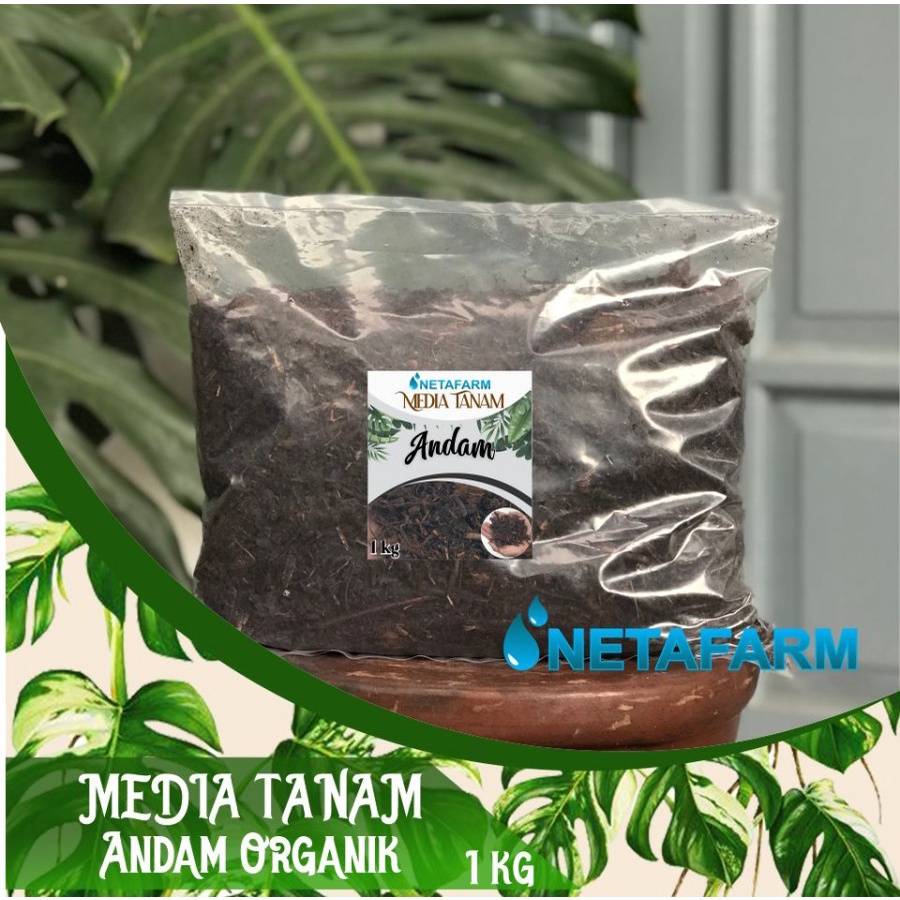 Jual Media Tanam Andam Pakis Bambu Akar Daun Batang Organik - kemasan 1 ...