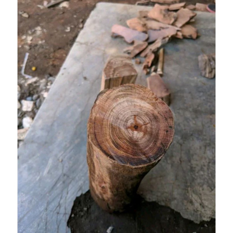 Jual bahan kayu gaharu atau kayu raja Agatis tembus cahaya | Shopee ...