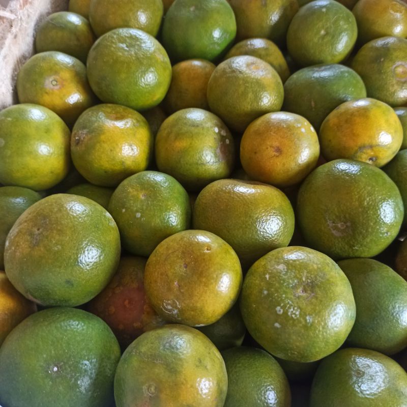Jual JERUK SIEM MADU DAU spek ABC MANIS N FRESH 1Kg free packing kardus ...