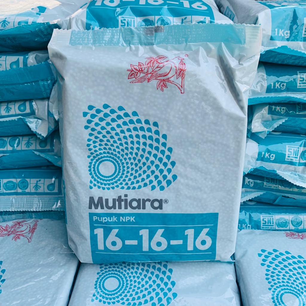 Jual Pupuk NPK Mutiara 16 16 16 Meroke Kemasan Original 1 KG | Shopee Indonesia