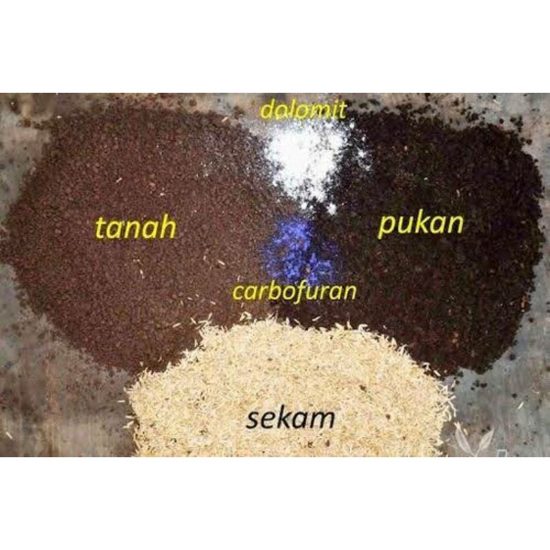 Jual media tanam cocok buat semua tanaman koleksi. 1kg | Shopee Indonesia