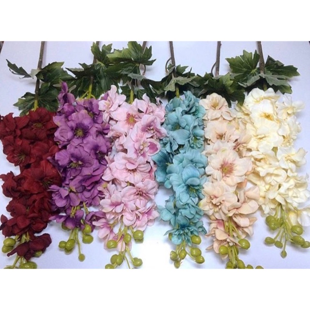 Jual POHON BUNGA Sakura Lavender Besar | Shopee Indonesia