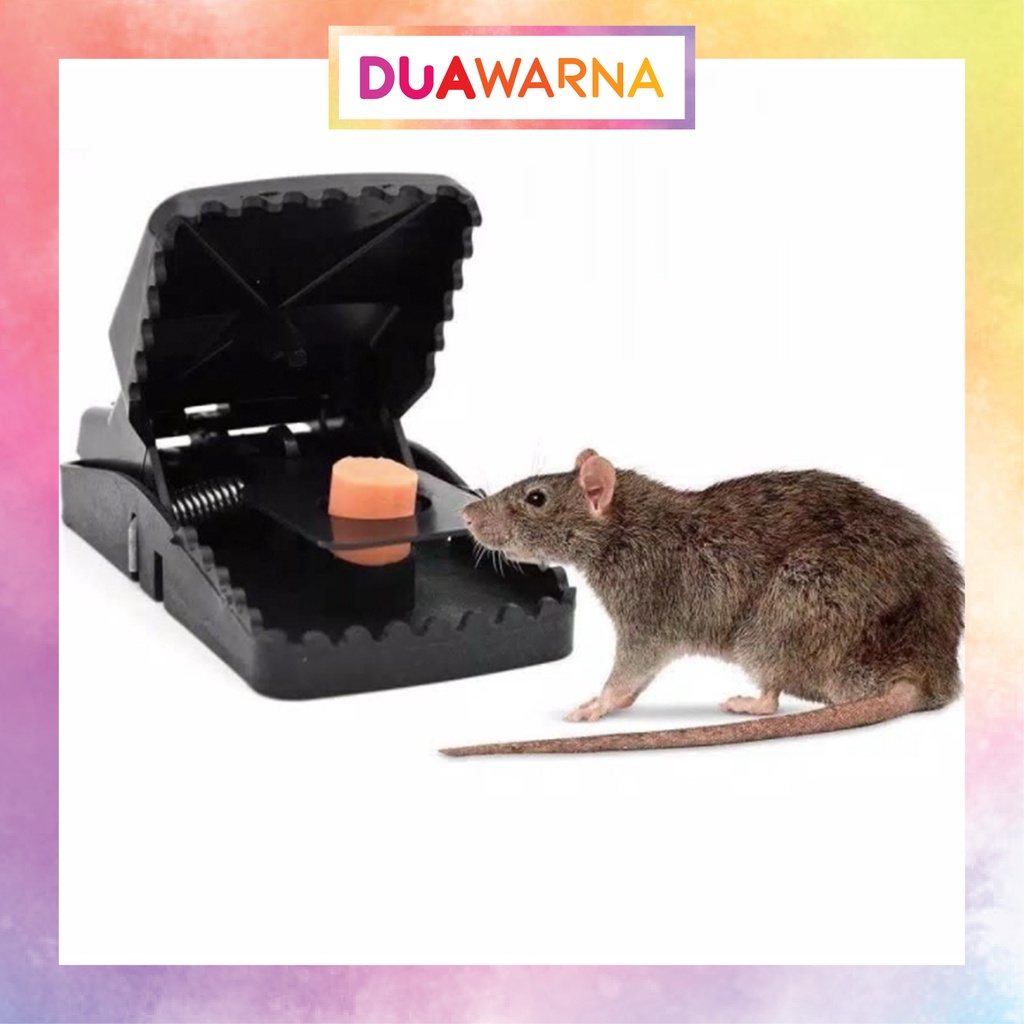 Jual DuaWarna Perangkap Jebakan Tikus Mematikan Penjepit Tikus Otomatis ...