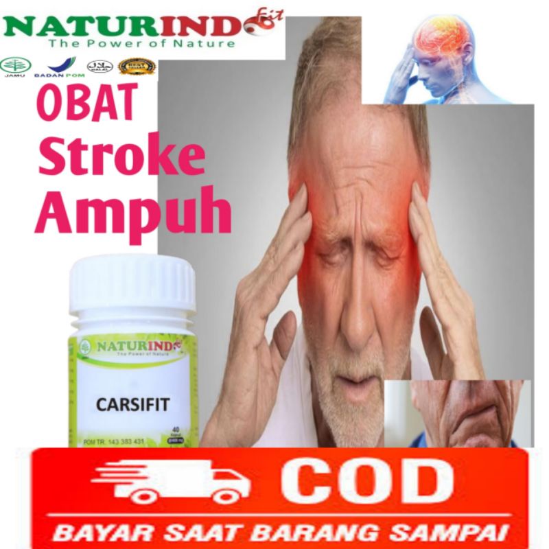 Jual Obat Stroke Struk Ringan Berat Lumpuh Sebelah Mati Separo Herbal ...