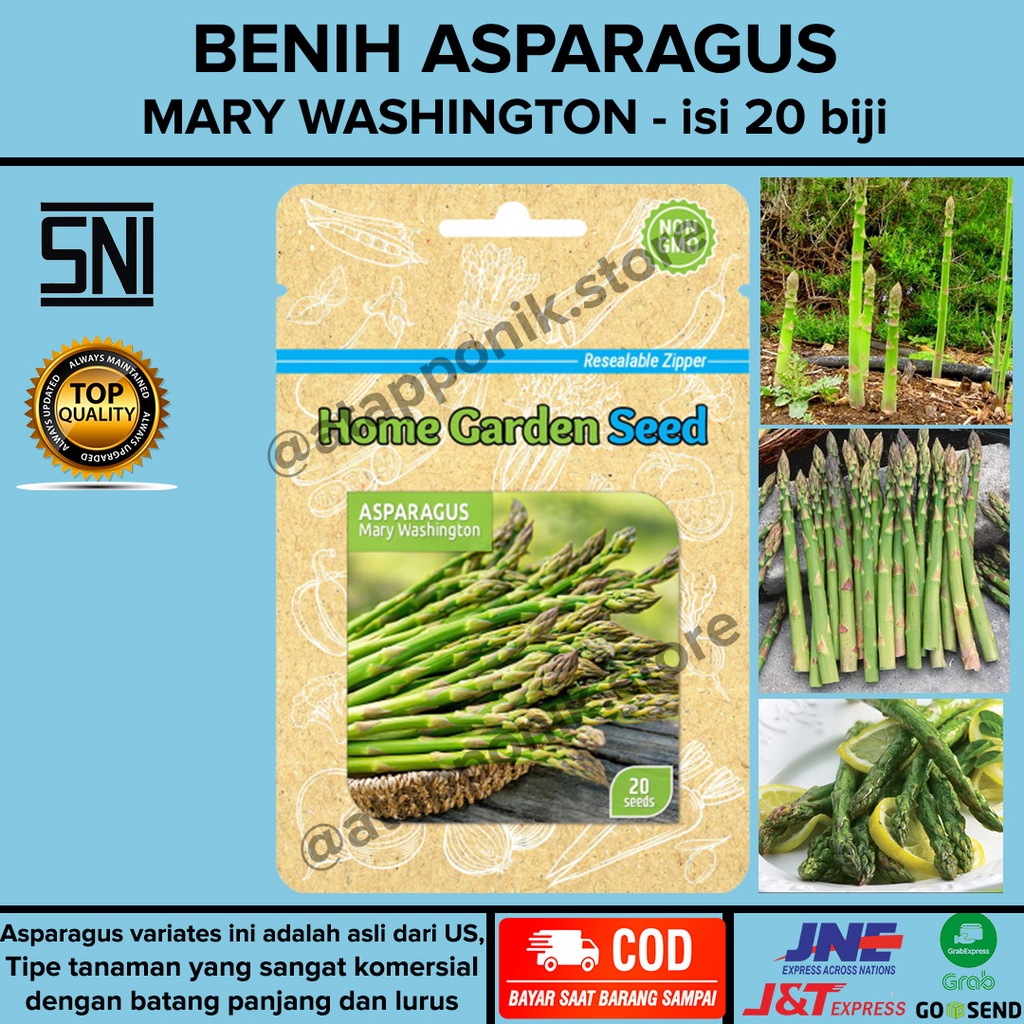 Jual benih bibit asparagus mary washington isi 20 biji merk urban ...