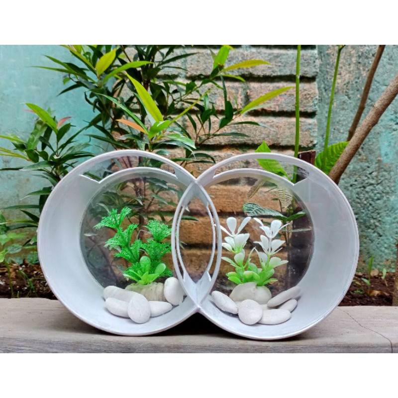 Jual aquarium mini unik akrilik pvc bulat double cupang,gapi,neon,ikan ...