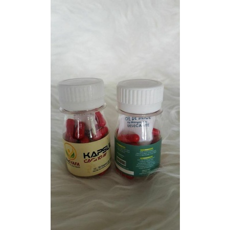 Jual Pil Cacing / Kapsul Cacing Biosyafa untuk Tipes Typhus / Obat ...