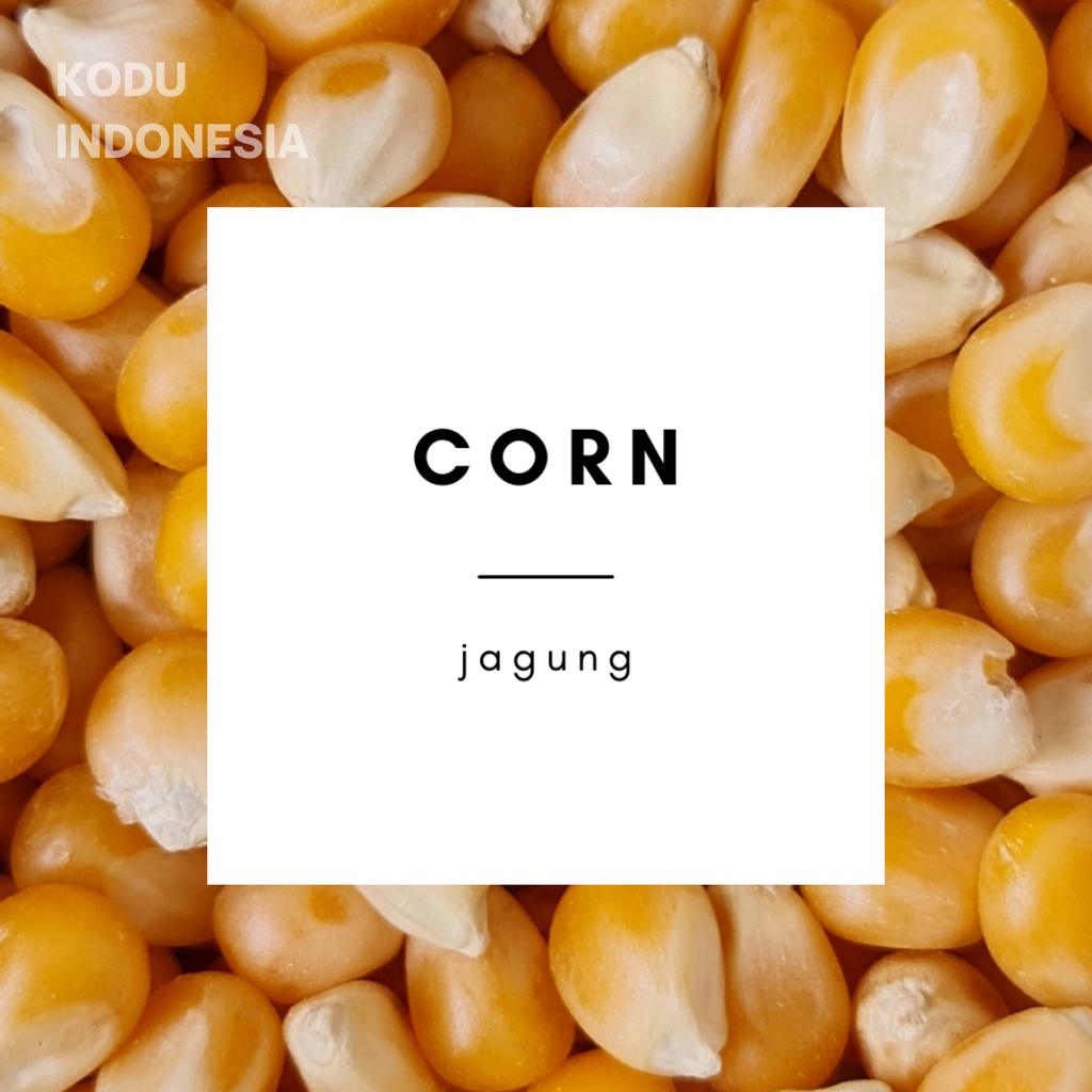 Jual KODU Sticker PANTRY STIKER Dapur Anti Minyak dan Air Inggris Indo ...