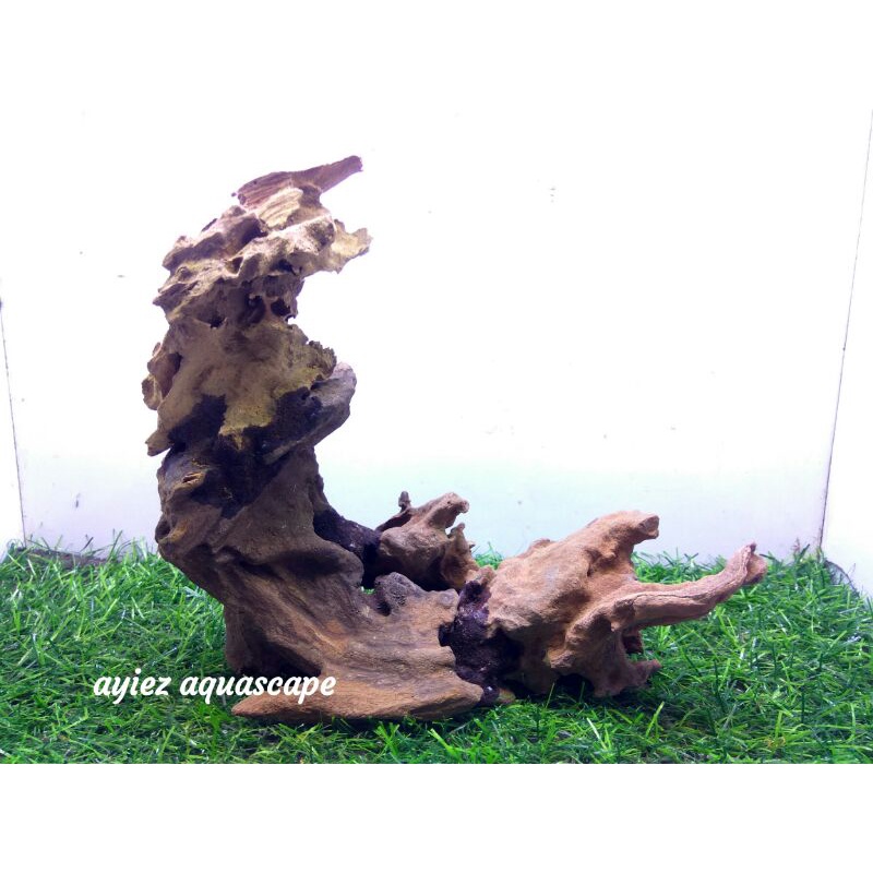 Jual KAYU RENTEK S+ AQUASCAPE AQUARIUM BONUS MOSS | Shopee Indonesia