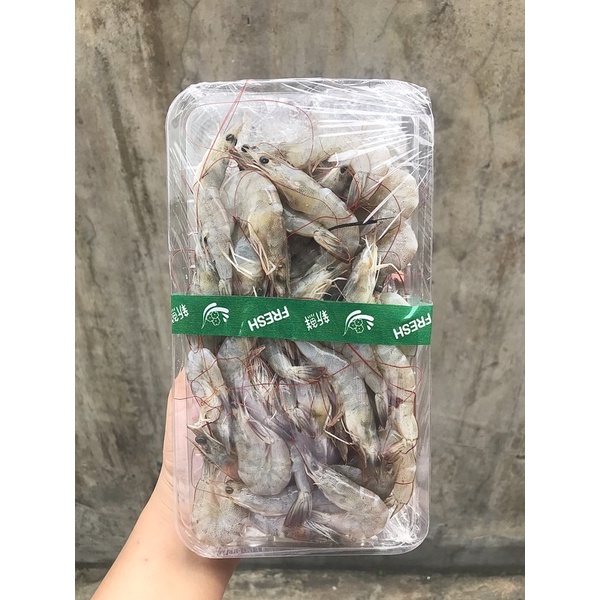 Jual UDANG SEGAR | fresh seafood | Shopee Indonesia