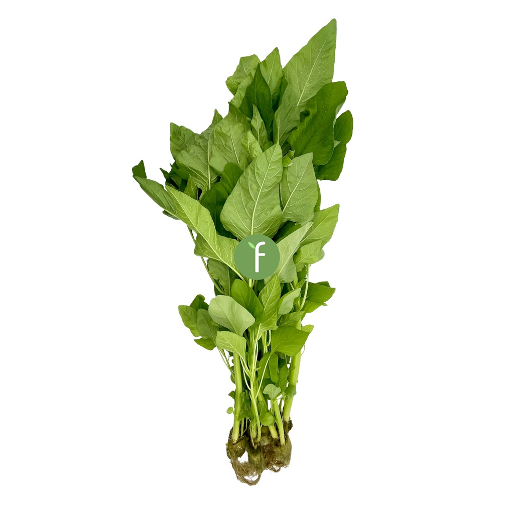 Jual Sayur Bayam Hijau Hidroponik | Fresh Hydroponic Spinach | Shopee ...