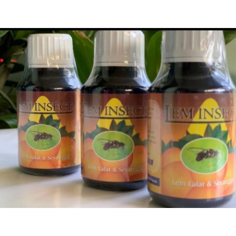 Jual lem lalat (buah)buat lem insect@75mL(pembasmi lalat dan serangga ...